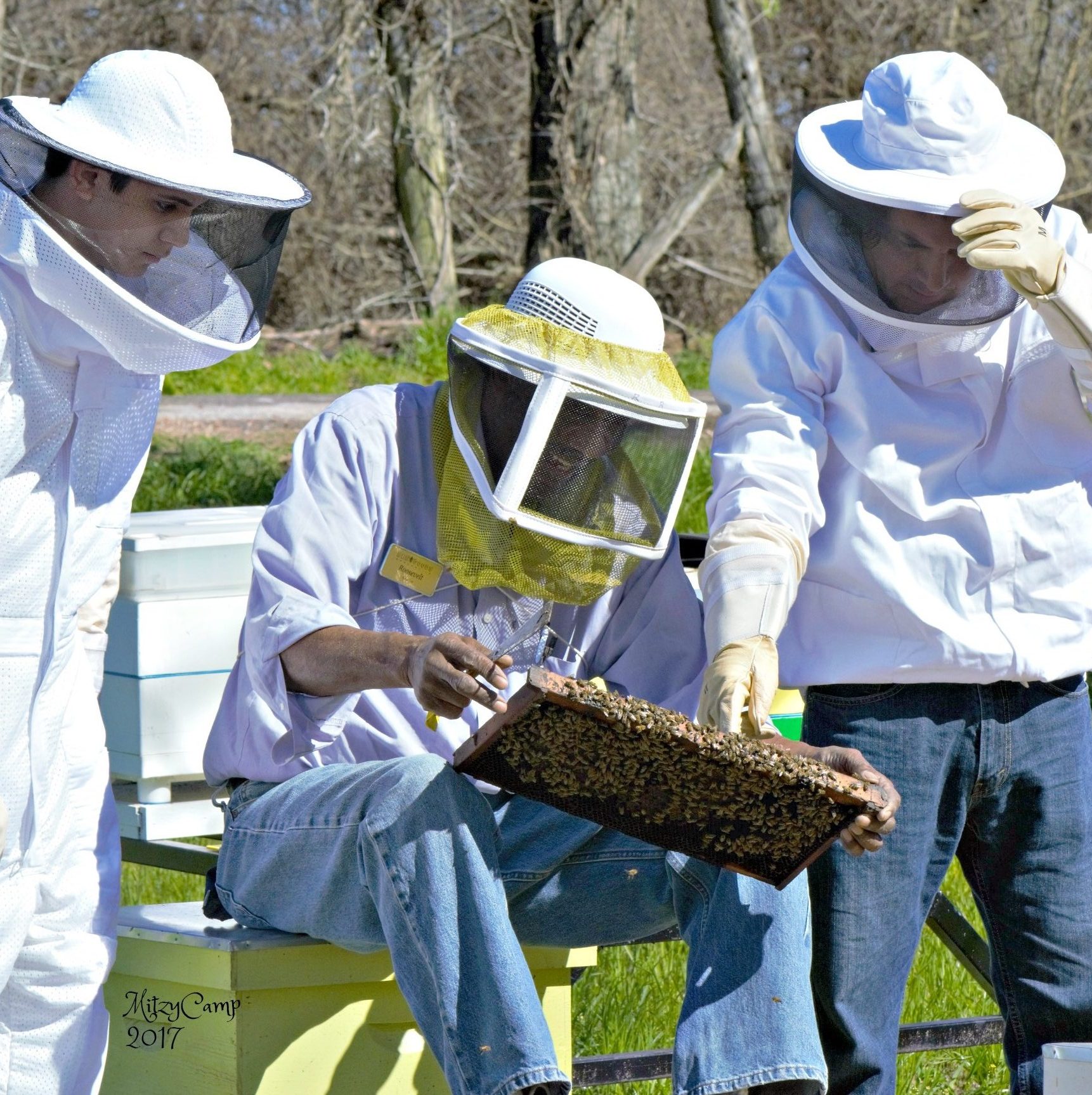 Farm Activities – BeeWeaver Honey Farm