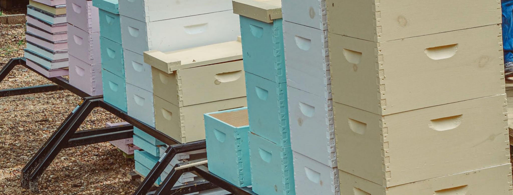 BeeGoods Mercantile – BeeWeaver Honey Farm